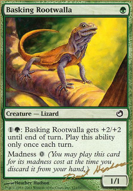 Basking Rootwalla