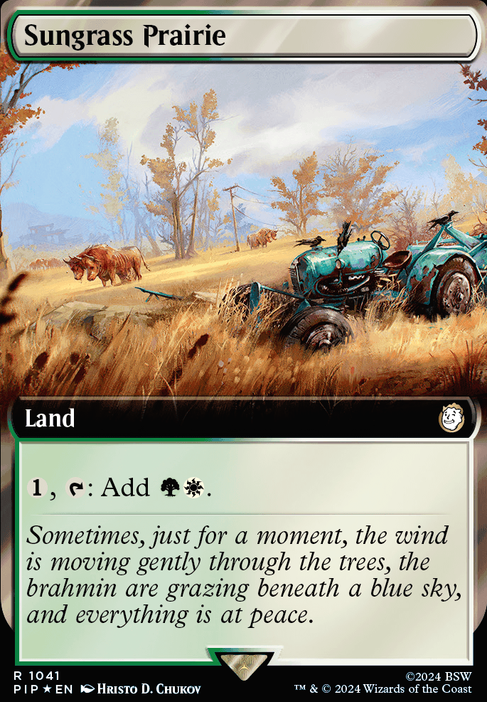 Lone Wanderer's Best Friend (Commander / EDH MTG Deck)