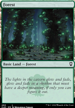 99 Land Commander Deck (Commander / EDH MTG Deck)