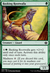 Basking Rootwalla