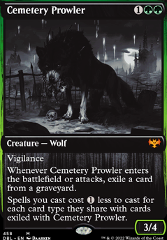 Rachel Weeks' Aeve Deck (Commander / EDH MTG Deck)