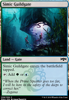 Simic Counters (Commander / EDH MTG Deck)