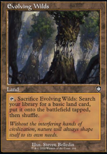 Evolving Wilds