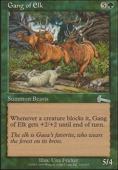 Gang of Elk